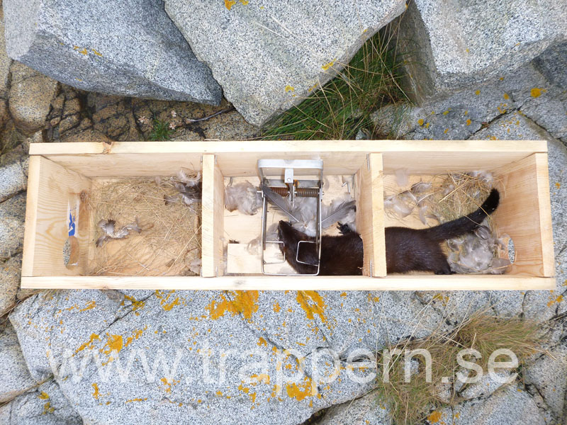 How do you set this it’s labeled as a duck trap : r/Hunting